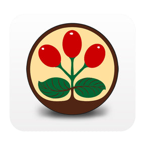 VST LAB Coffee III Refractometer – VSTAPPS STORE